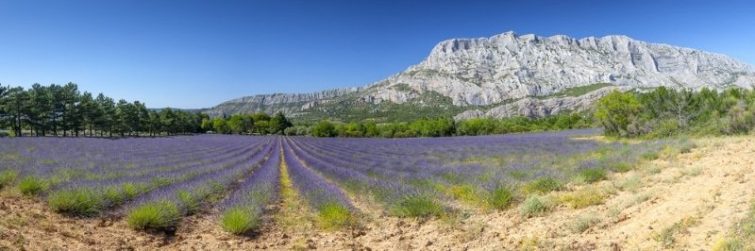 Cosa vedere a Aix en Provence? Le 17 cose da vedere a Aix en Provence
